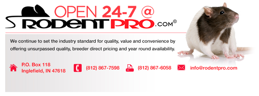 Kingsnake.com Classifieds - Vendor Profile | Rodentpro.com